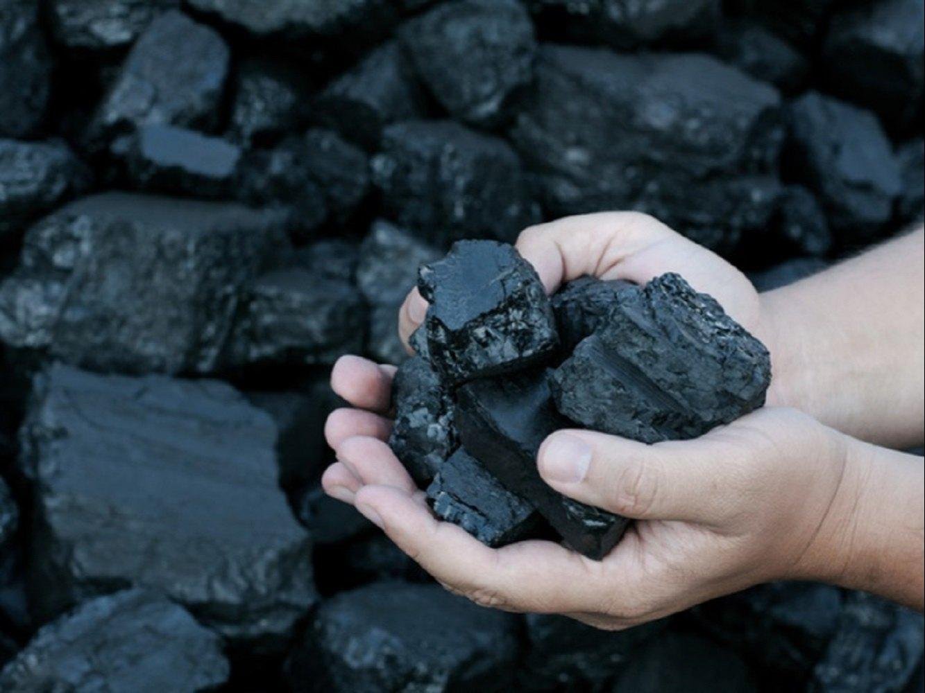 Coal Testing Analysis Services coal-testing-analysis-services